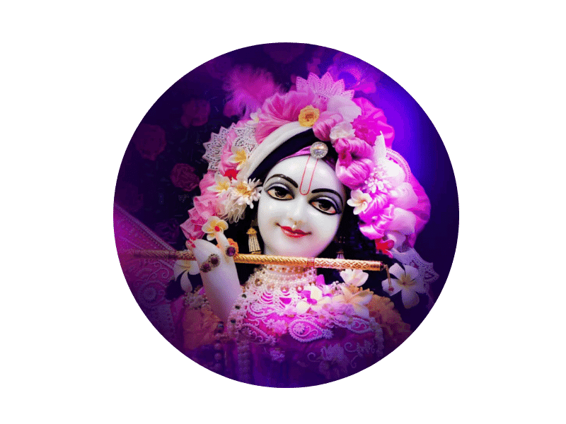 Donate - Evolve Pune